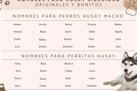 Descubre 29 Apodos Creativos Con La Palabra Lobo Apodosfera