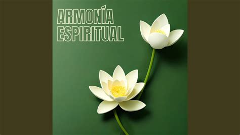 Esencia Divina YouTube