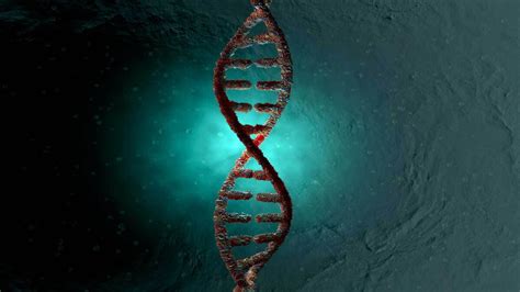 Examples Of Nucleic Acids YourDictionary