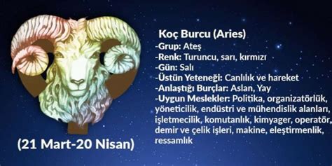 2024 Koç Burcu 2024 Koç Burcu Yorumları ve özellikleri