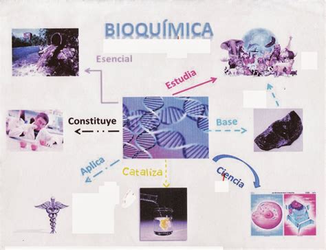 Mapa Mental De Bioquímica BRAINCP