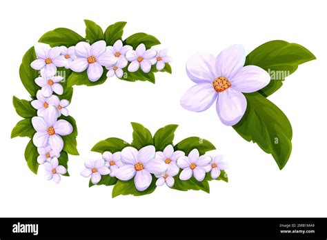 Set Frame Floral Corner Elegant Decoration In Cartoon Style Border