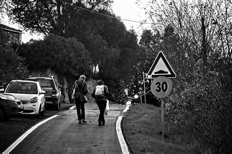 Caminho Estrada Arvores Foto Gratuita No Pixabay Pixabay