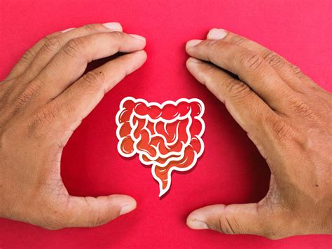 The Gut Microbiome Unveiling The Key To Health And Well Being