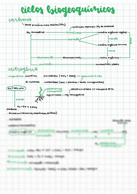 Solution Ciclos Biogeoqu Micos Studypool