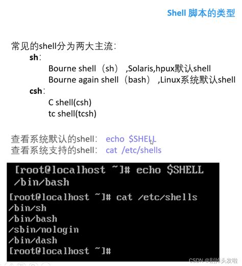 （超详细）linux shell 编程 linux shell编程 csdn博客