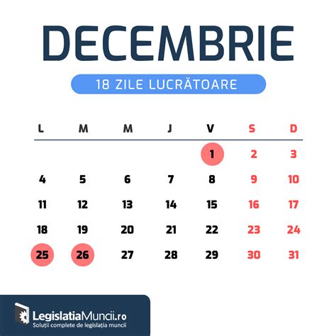 Calendar Anaf Decembrie Lynne Felecia