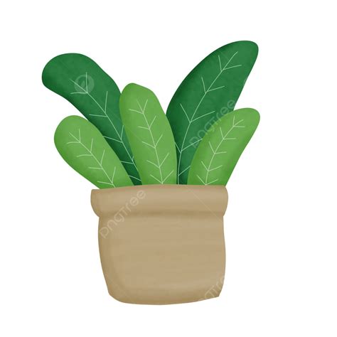 Plantas Verdes En Macetas PNG Hojas Verde Plantas PNG Y PSD Para