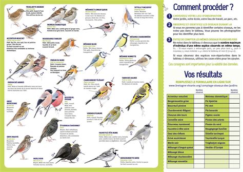 Comptage Oiseaux Des Jardins Bretagne Vivante