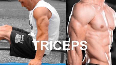 LOS 20 MEJORES EJERCICIOS DE TRICEPS PARA CALISTENIA