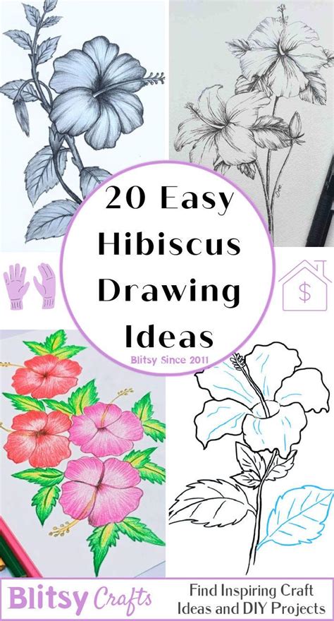 20 Easy Hibiscus Drawing Ideas Draw A Hibiscus 2023
