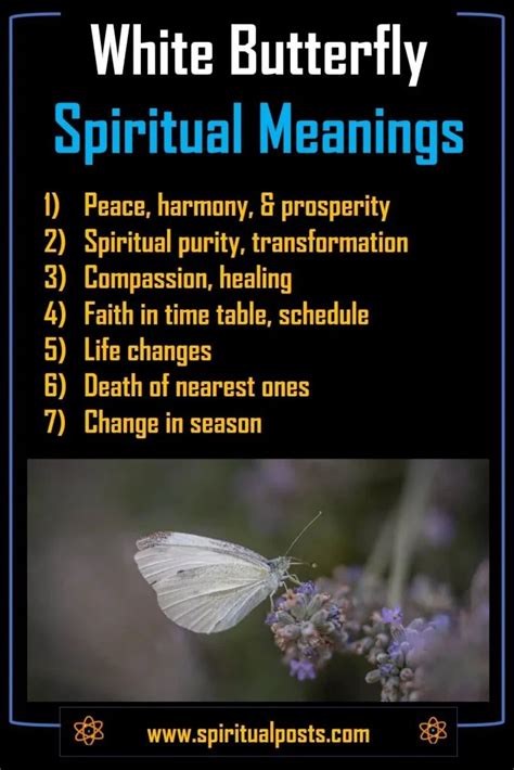 Unlocking The Spiritual Symbolism Of The White Butterfly