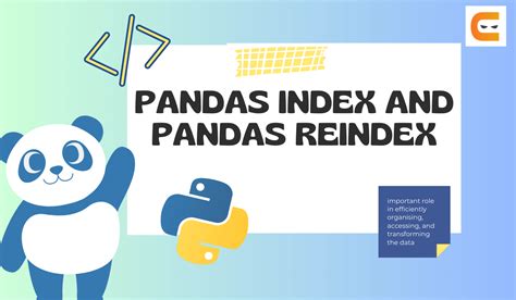pandas index and pandas reindex coding ninjas