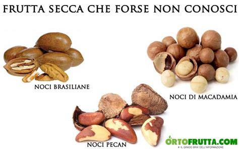 Frutta secca la guida completa con nomi e proprietà Ortofrutta