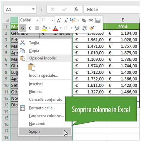 Ocultar C Lulas Do Excel Linhas E Colunas