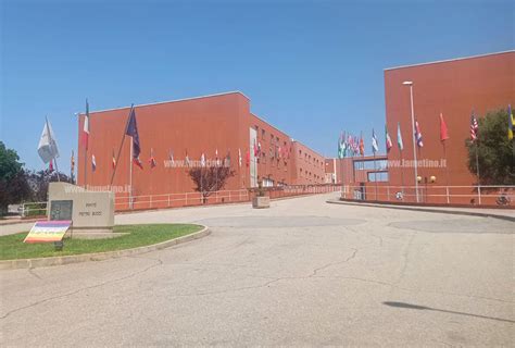 Università Unical migliora posizione nella classifica europea di