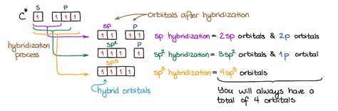 Hybridization Organic Chemistry Tutor