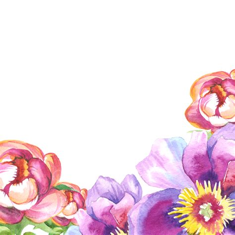 Decoración De Marco De Flores De Acuarela PNG dibujos Flor Acuarela