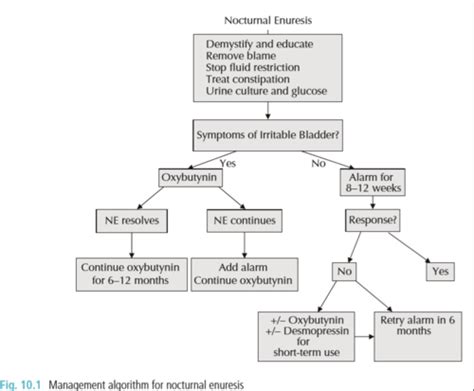 Nephrology Urology Flashcards Quizlet