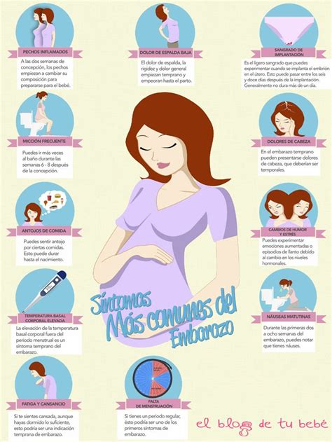 Cómo saber si estás embarazada cuáles son los síntomas El blog de