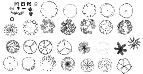 Plant Plan View Cad Block All About Hobby