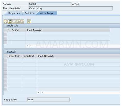 ABAP Dictionary Domain Amarmn