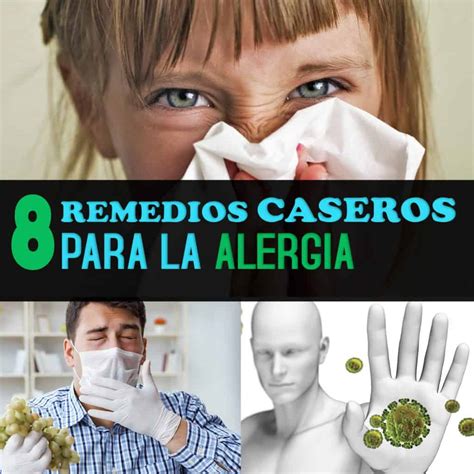 Los Mejores Remedios Caseros Para Tratar La Alergia La Gu A De Las