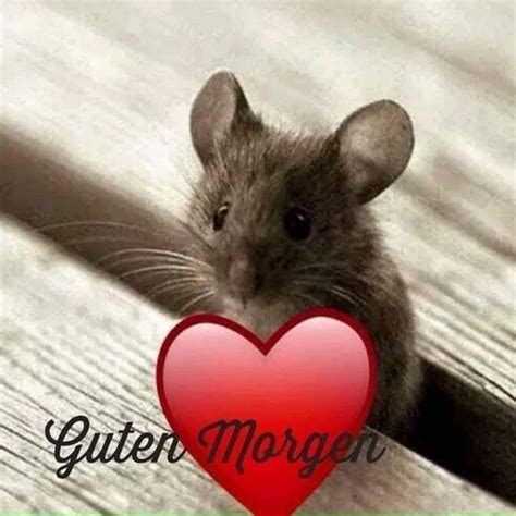 Pin Von R Schen Stamm Auf Danke Gute Besserung Heirat Geburtstag