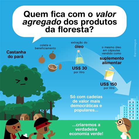 Biof Bricas Na Amaz Nia Arvoreagua