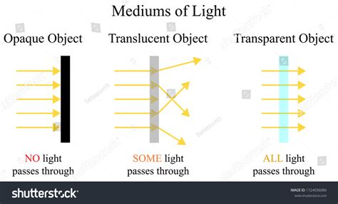 Transparent Translucent And Opaque Objects