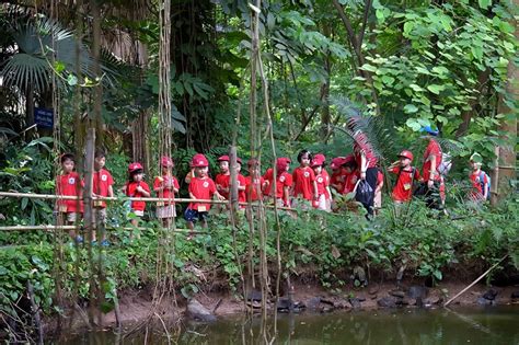 Hệ thống trường Mầm non Vinschool Khám phá thiên nhiên tại Bảo tàng Tài