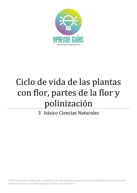 Ciclo de vida de las plantas con flor partes de la flor y polinización