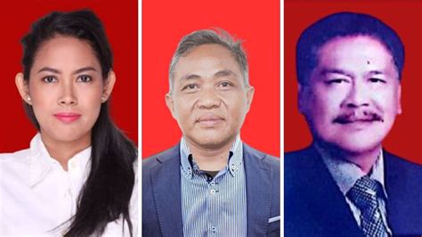 3 Nama Caleg DPR RI Dapil Kepri Pada Pemilu 2024 Dari PKN Natuna Today
