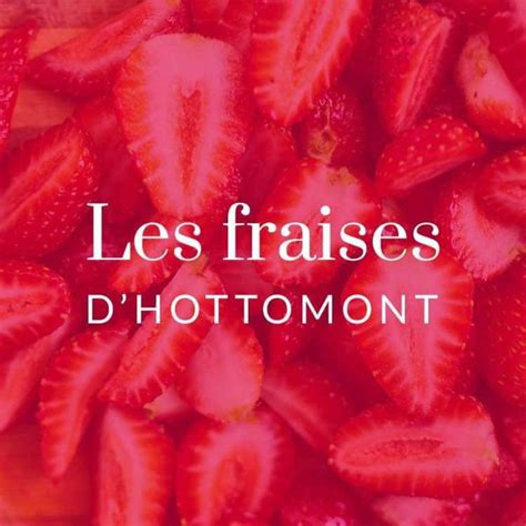Les fraises d Hottomont Grand Rosières IFEL W