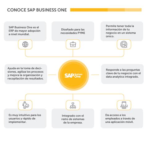 Qu Es Sap Business One