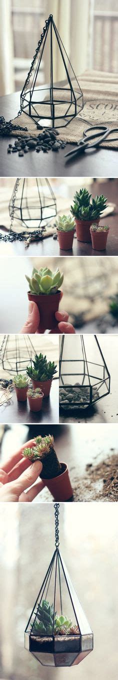 55 ideias de TERRARIO terrário suculentas jardinagem
