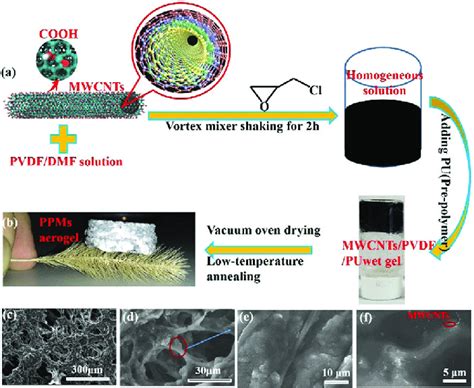 A The Schematic Preparation Procedure For Ppm Aerogels B An Image