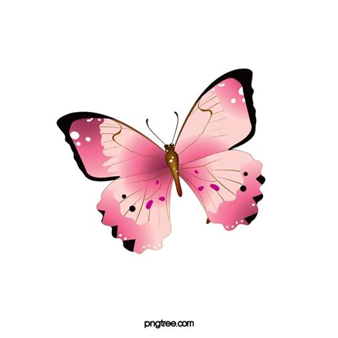 A Pink Butterfly Flying Through The Air