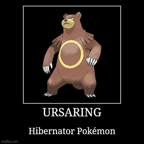 Ursaring Imgflip