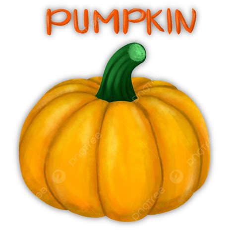 Dibujado A Mano Ilustración De Una Calabaza Amarilla PNG Verduras