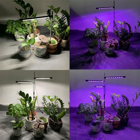 Oświetlenie LED do uprawy rośliny doniczkowe 5903951766634 Cena