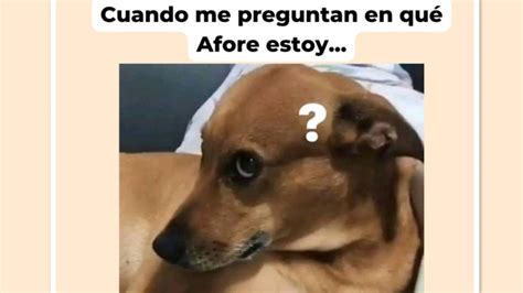 Cómo puedo saber en qué Afore estoy