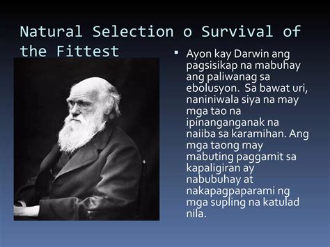 Mga Teorya Tungkol Sa Pinagmulan Ng Tao PPT
