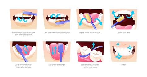 Esquema passo a passo instruções sobre como escovar os dentes
