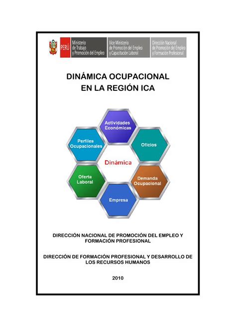 PDF Dinamica Ocupacional Ica DOKUMEN TIPS