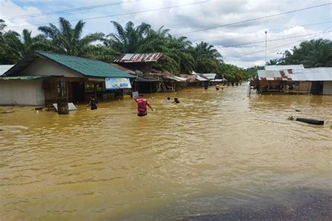 Sungai Meluap Enam Kecamatan Di Aceh Tamiang Terendam Banjir ANTARA