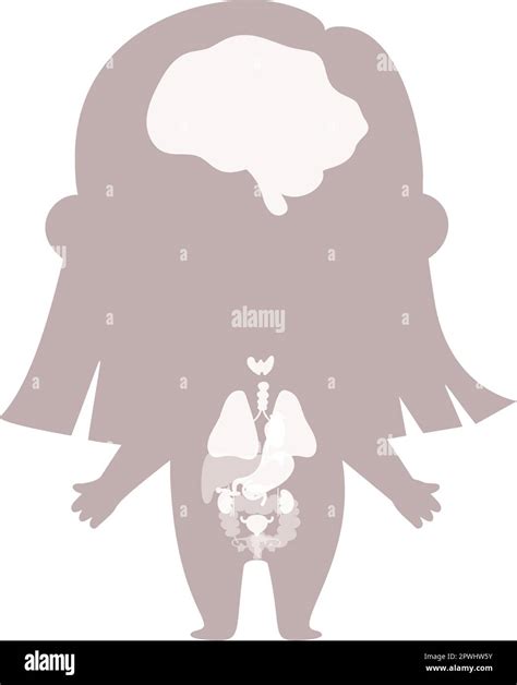 Anatomie corps humain Silhouette féminine avec structure visuelle des