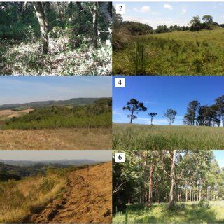Location Of Different Land Uses And Covers In The Study Area 1native