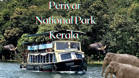 Periyar National Park I Tiger Reserve I Kerala I India I Nature S