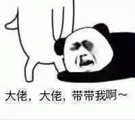 熊猫头恳求说 大佬大佬带带我啊 表情包图片gif动图 求表情网 斗图从此不求人